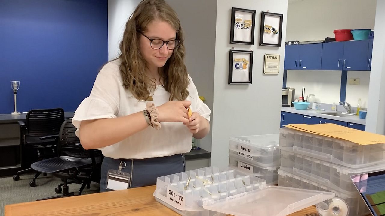 Aspiring social worker looks to inspire others