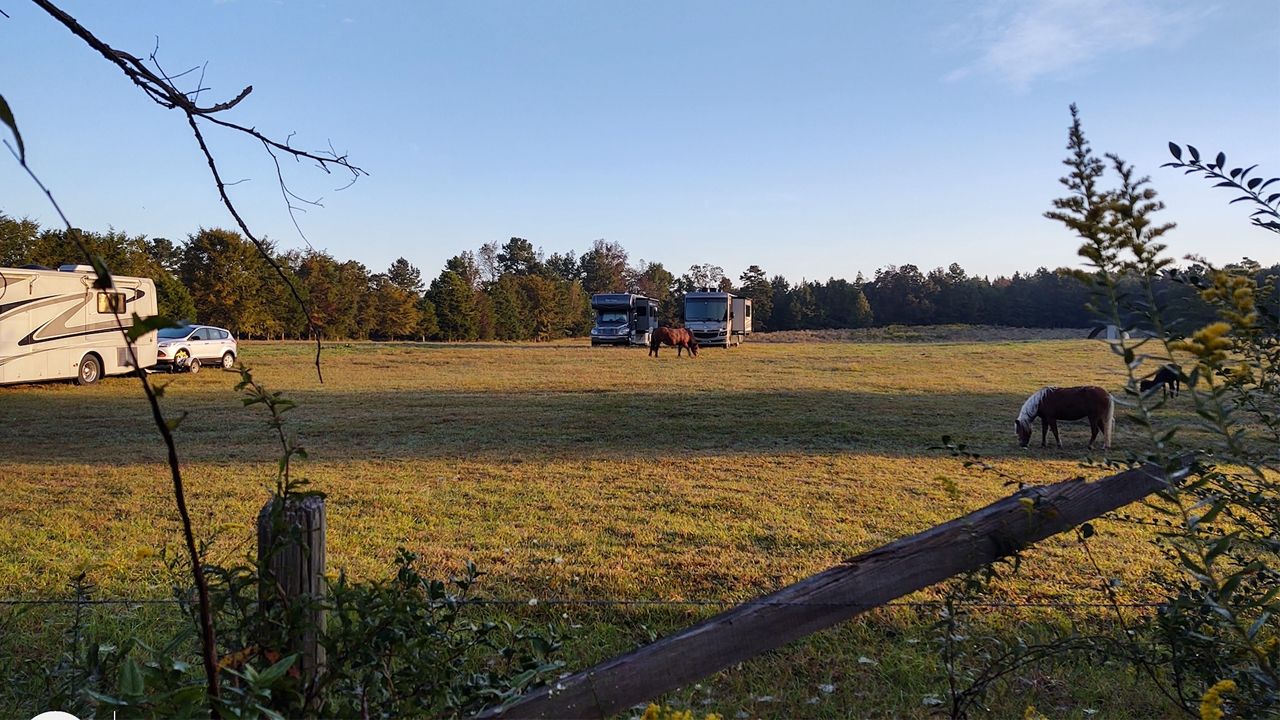 Overnight RV Parking Helps Local Ostrich Farm During Pandemic
