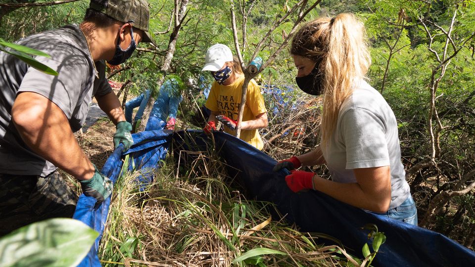 Raising awareness of invasive species in February