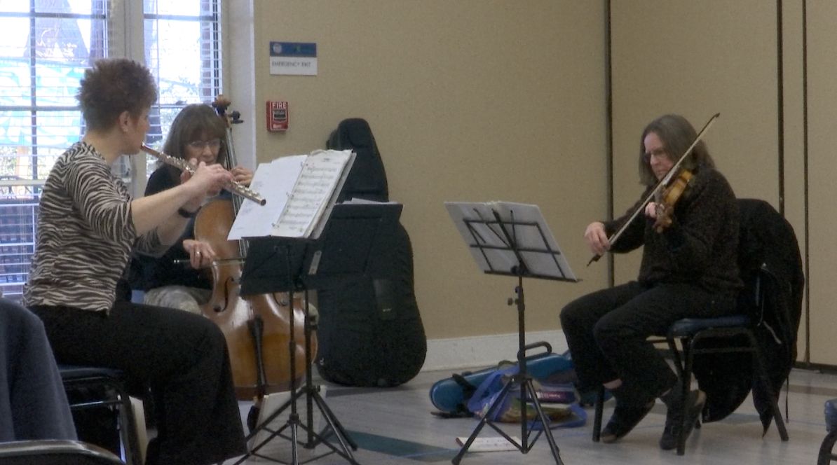 Charlotte Symphony's Healing Hands Program Changing Lives