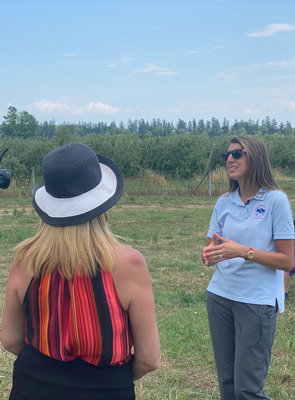 The importance of the New York State Mesonet