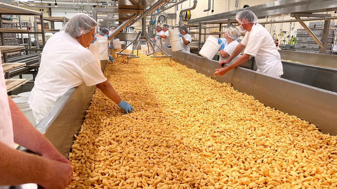 A look at how a Master Cheesemaker makes cheese curds