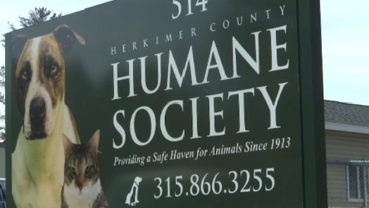 Herkimer County Humane Society Open, Taking Precautions