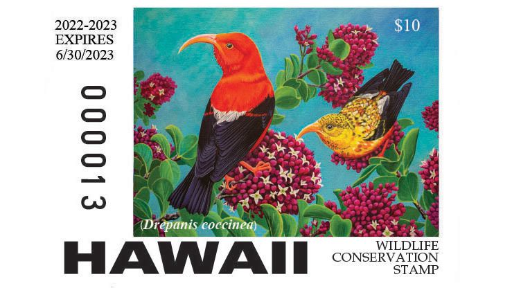 Winners of the Hawaii hunting stamp contest announced