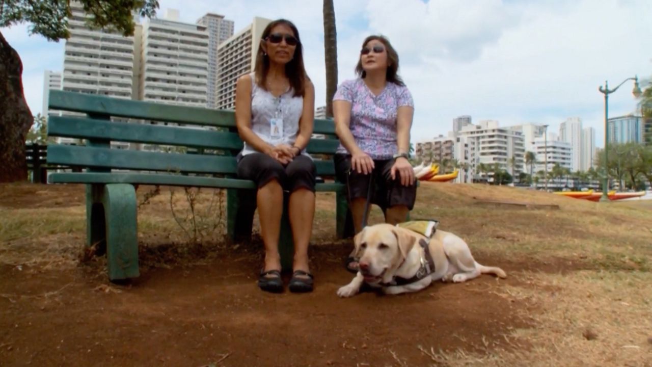 The Pet Hui: Training a guide dog