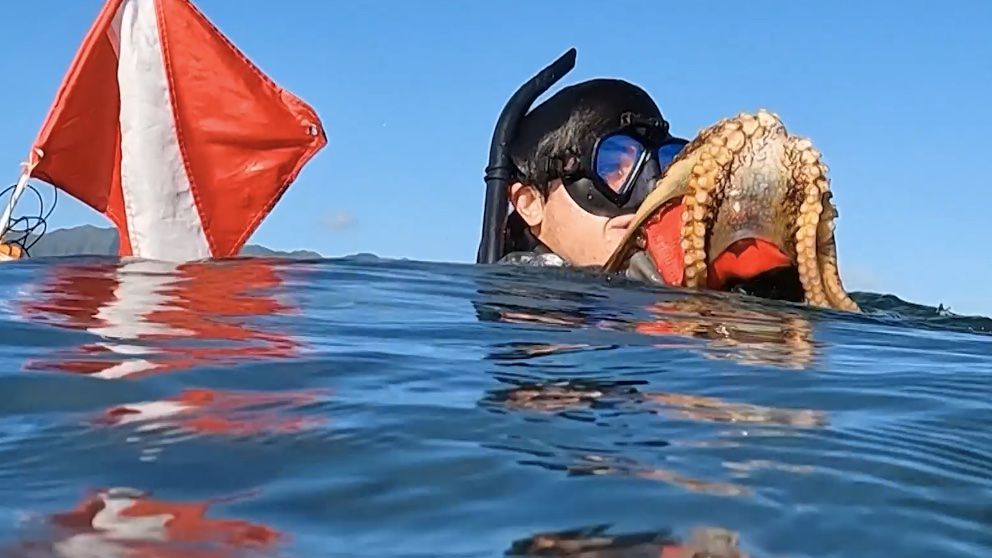 Keiki Fishing Adventures: Tako diving adventure