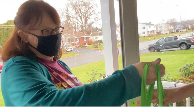 Vestal Library brings books to you with delivery program