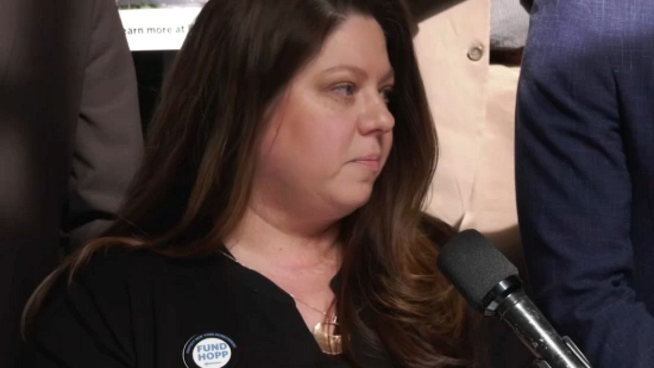 Lawmakers join Albany rally to protect homeowners