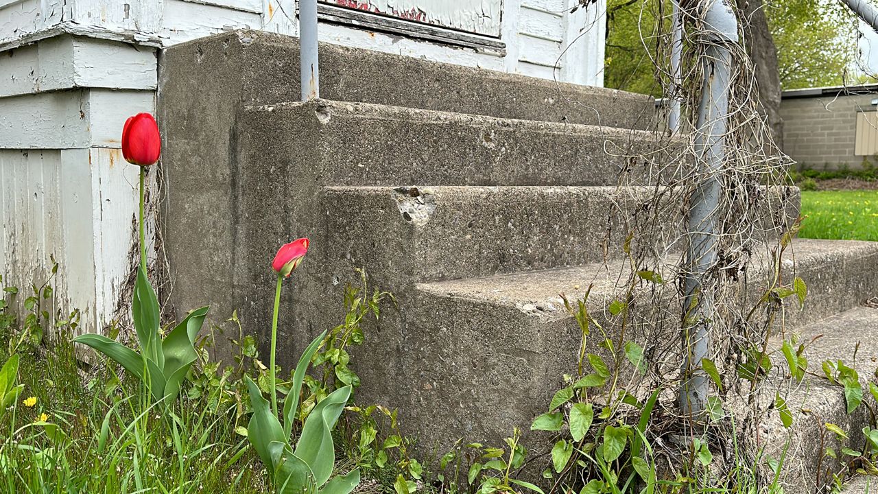 How does Homer plan to spend its $10 million from the state?