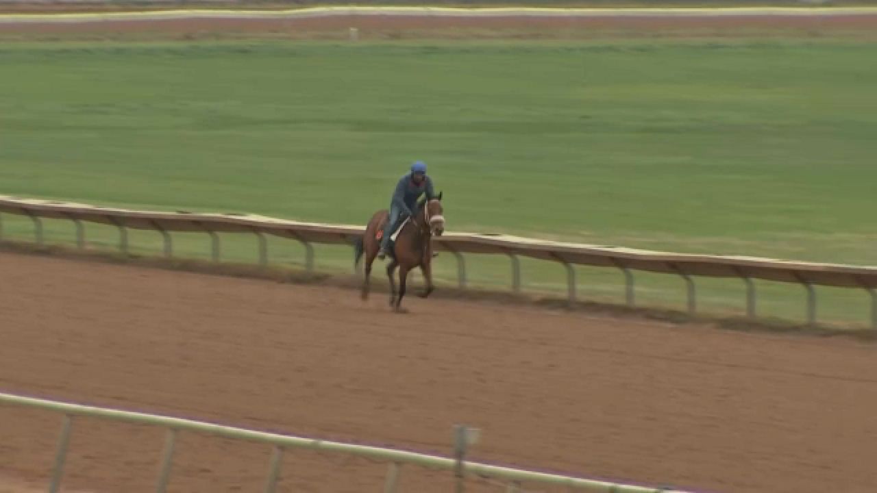 Finger Lakes Gaming and Racetrack celebrates opening day