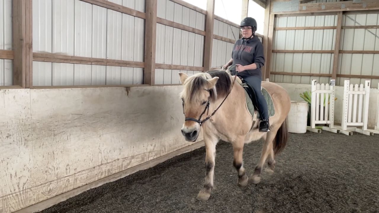 How therapy with horses is helping people with disabilities