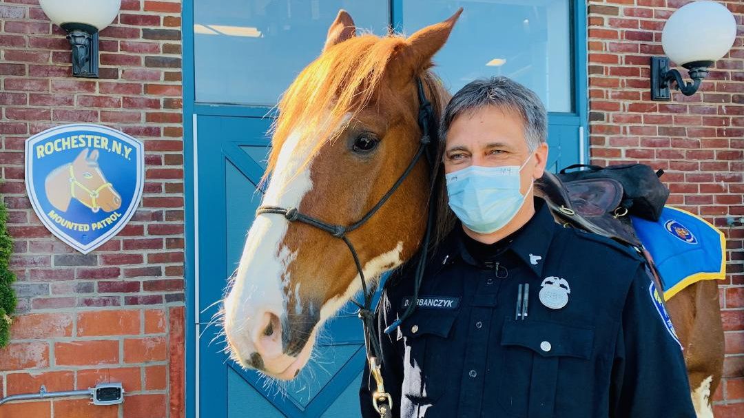 You can help name RPD's new mounted patrol unit horse