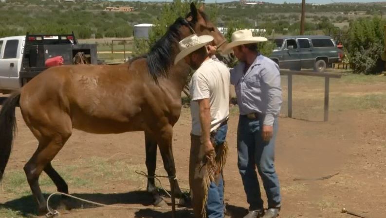 West Texas Ranch Works To Save Horses from Slaughter