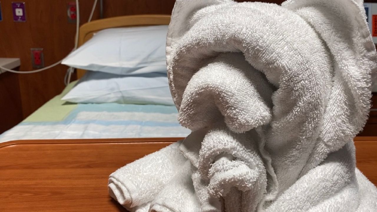 Rural Hospital Gets New Maternity Center