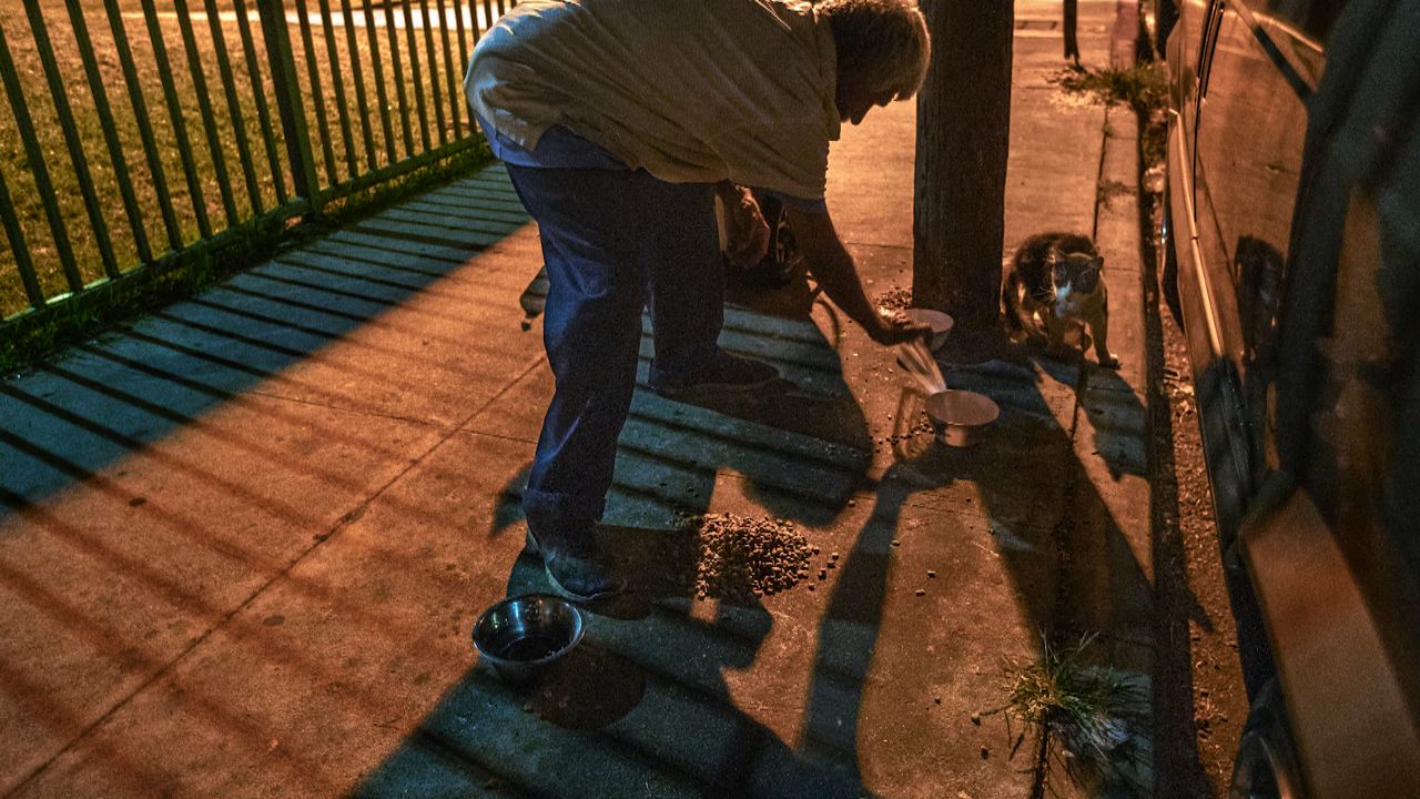 A homeless man’s mission to feed LA's cats and birds