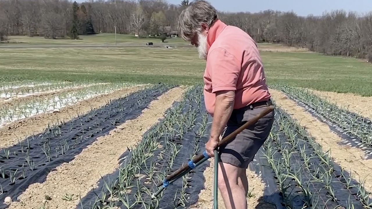 How a warmer winter impacted N.Y. farmers