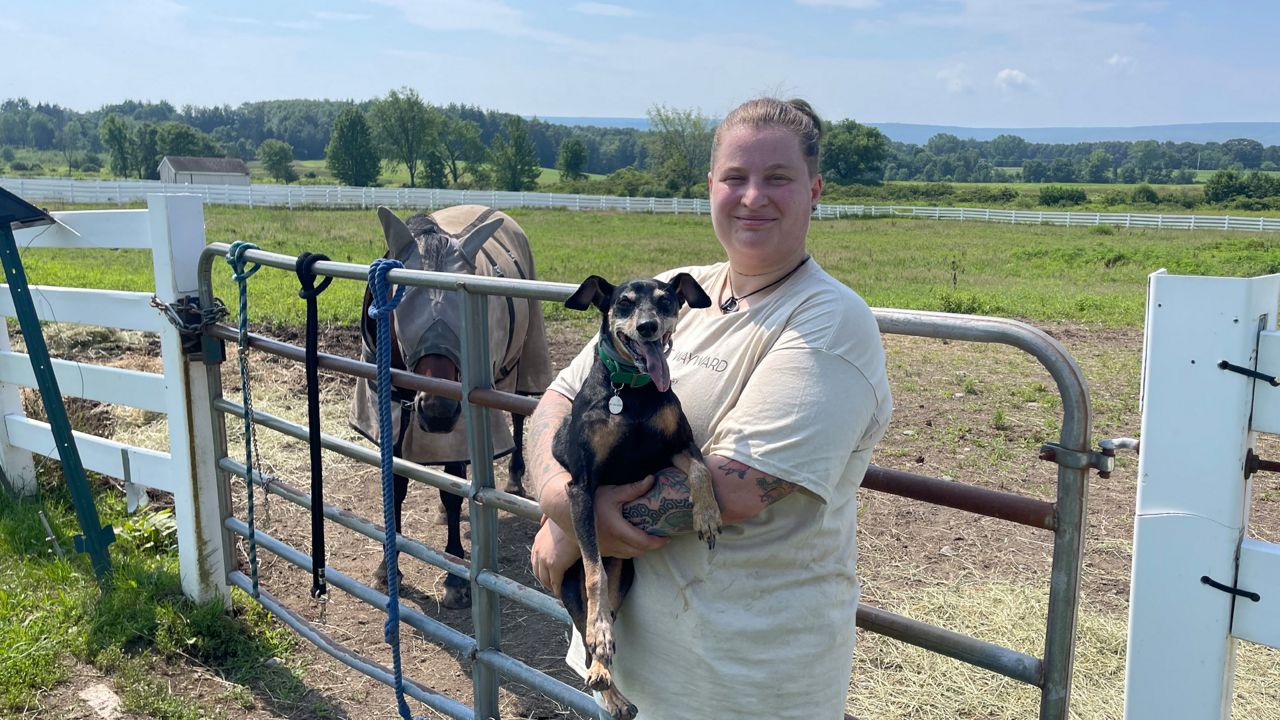 Animal sanctuary helping form deeper human-animal bonds