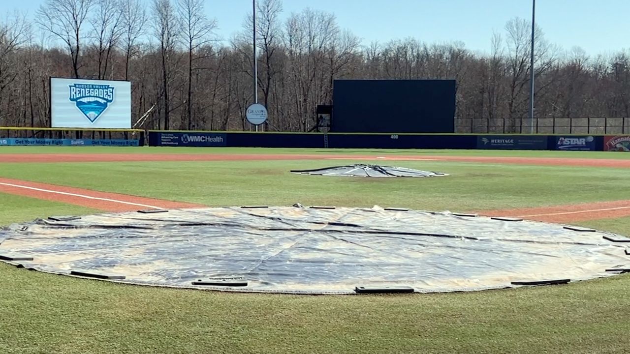 New season, new stadium name for Renegades