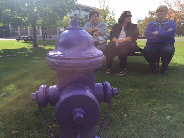 Purple Fire Hydrants Get People Discussing Domestic Violence