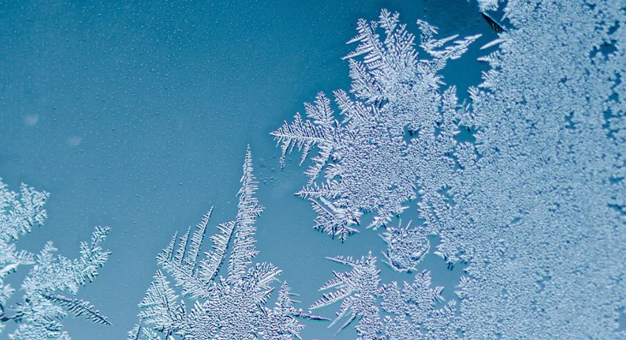 Typical Dates Of Our First Fall Freeze and Frost