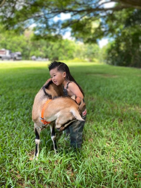 3-year-old boy repping Hawaii in national mullet contest