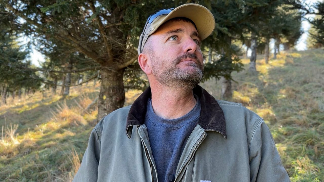 Christmas Tree Genetics Research Station