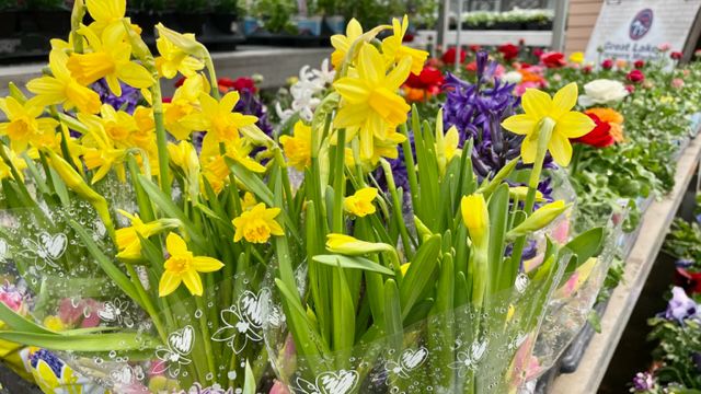 Spring is in bloom and local businesses hope for a boom