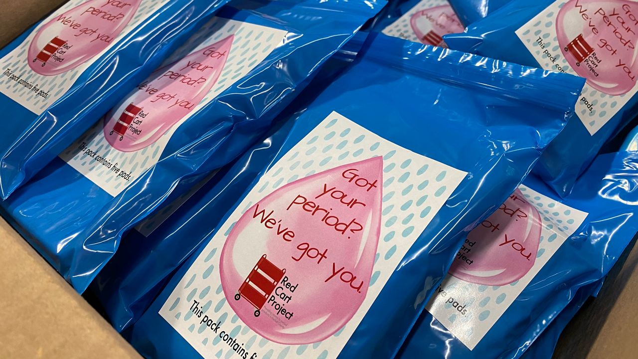 Fighting Period Poverty One Pad At A Time