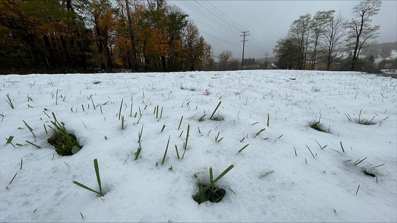 We had a bit of winter with the first snow