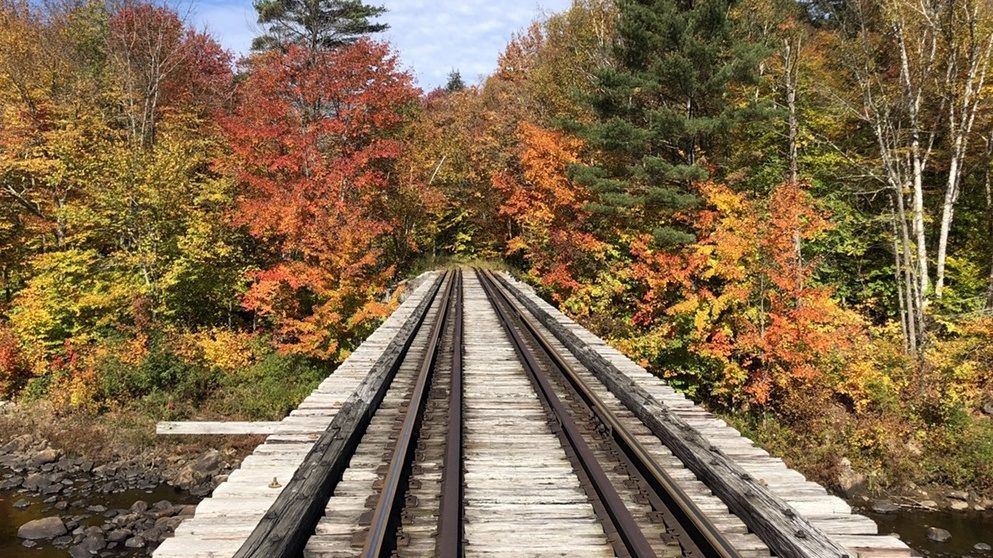 Rail biking: A unique way to take in fall foliage