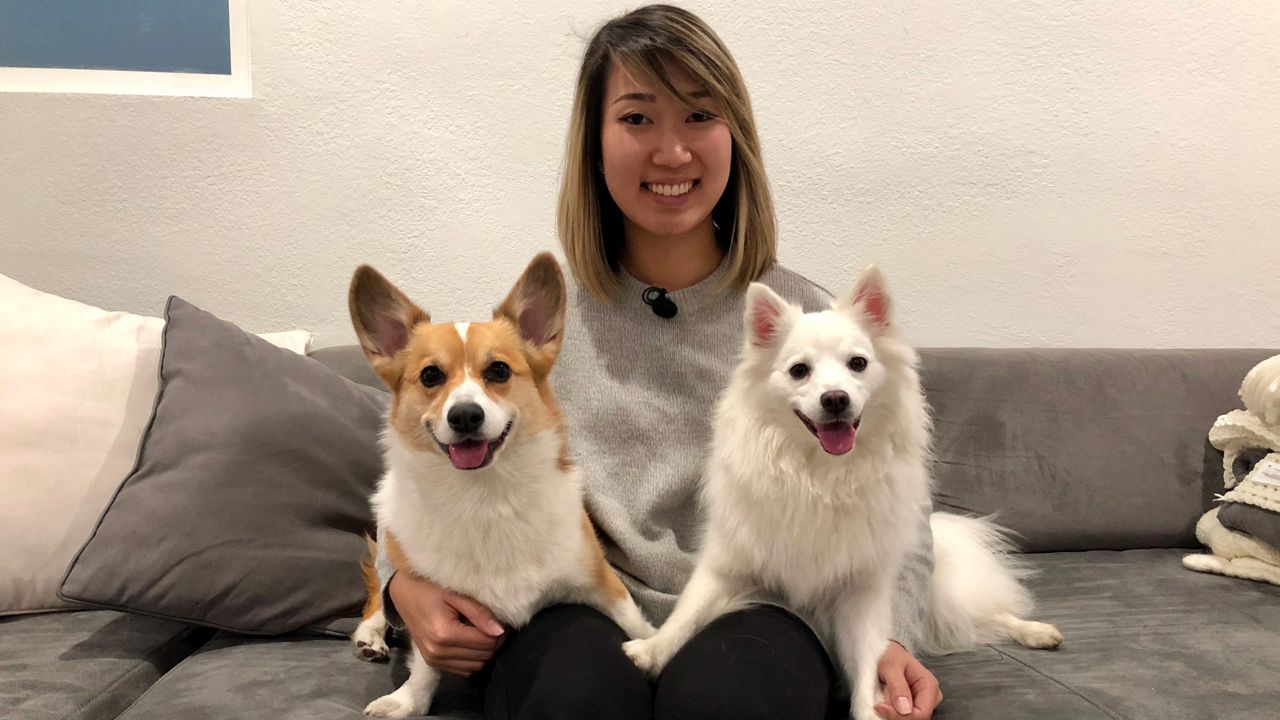 Pet Influencers Are Latest Instagram Trend