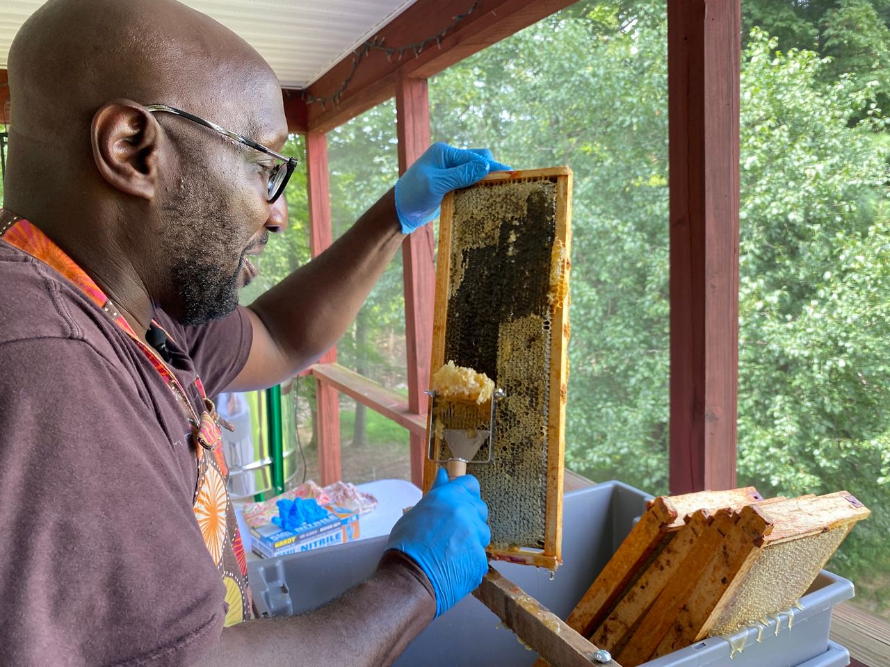 nypd beekeeper honey harvest