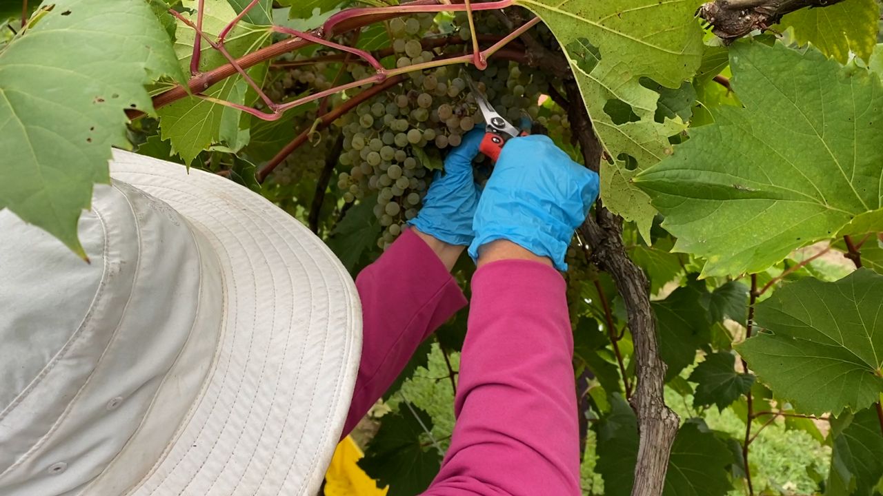 Family owned Rockside Winery brings together Lancaster community