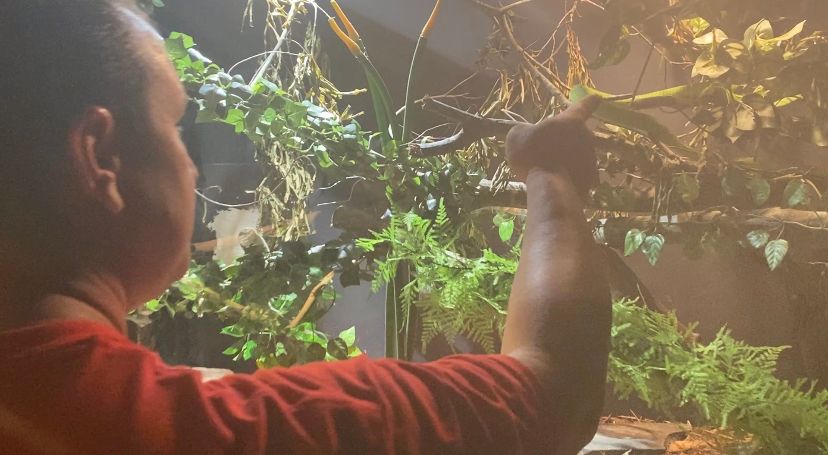 Reptile expert explains snake safety