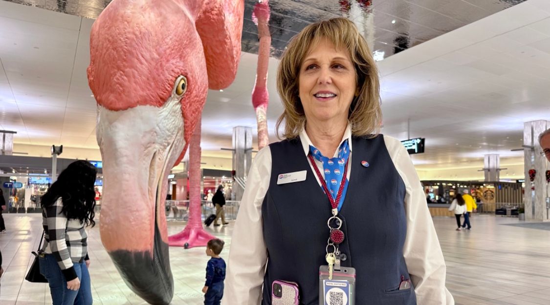 A giant flamingo greets Tampa International flyers - TittlePress