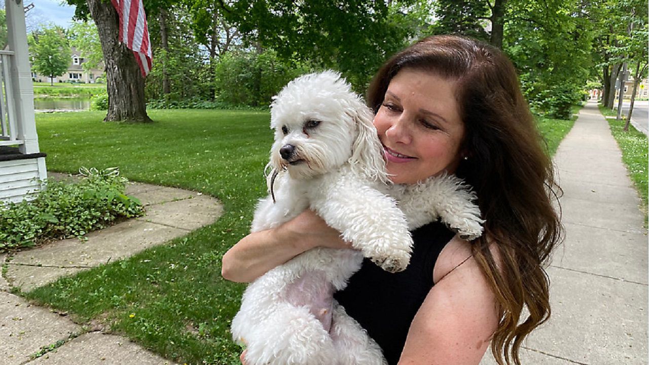 Dog walkers see demand soar as pet parents return to work