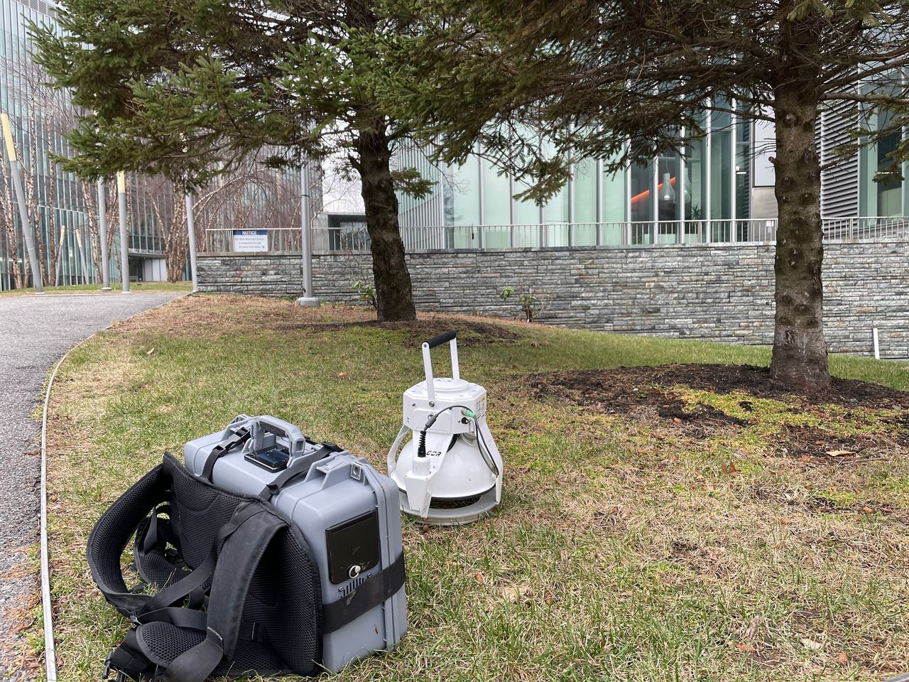 Study shows NYC's greenery helps offset carbon emissions