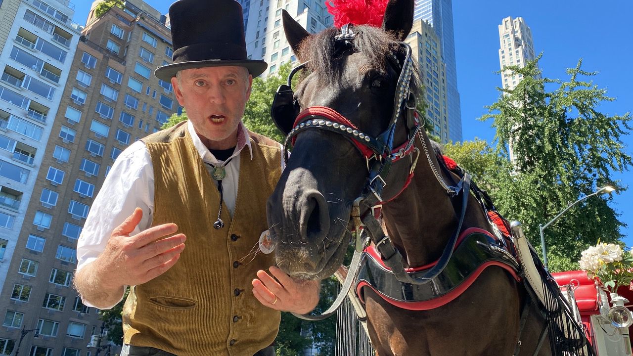 TWU introduces a plan to regulate horse carriage industry