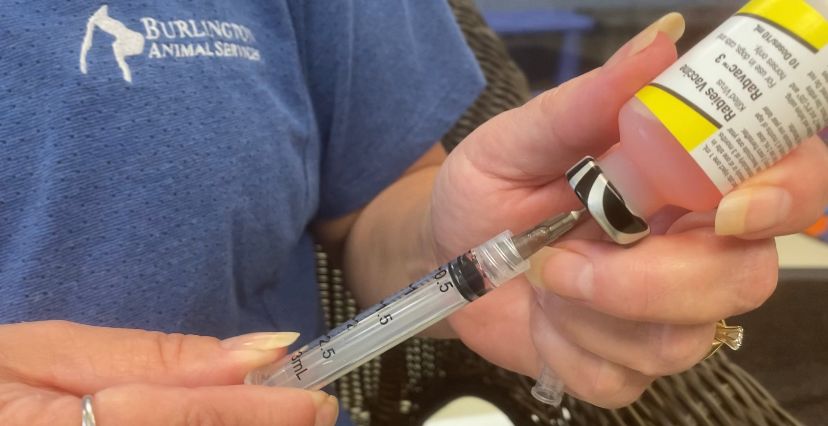 vets urge pet owners to make sure their animal is vaccinated