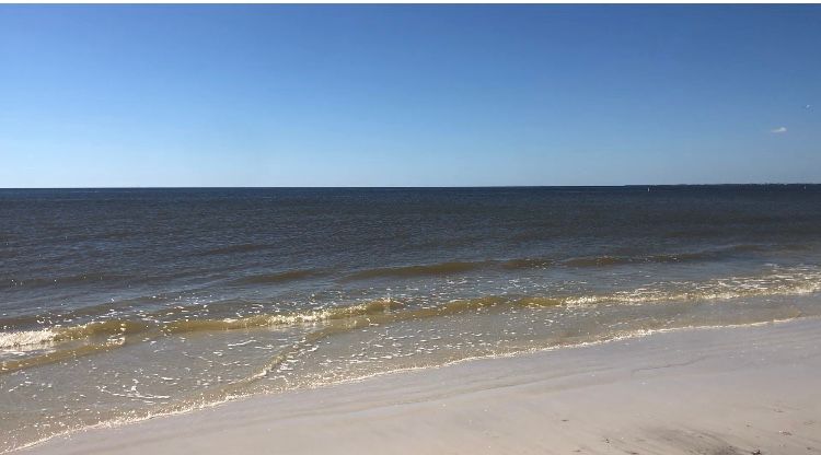 Back-to-back hurricanes impacting red tide