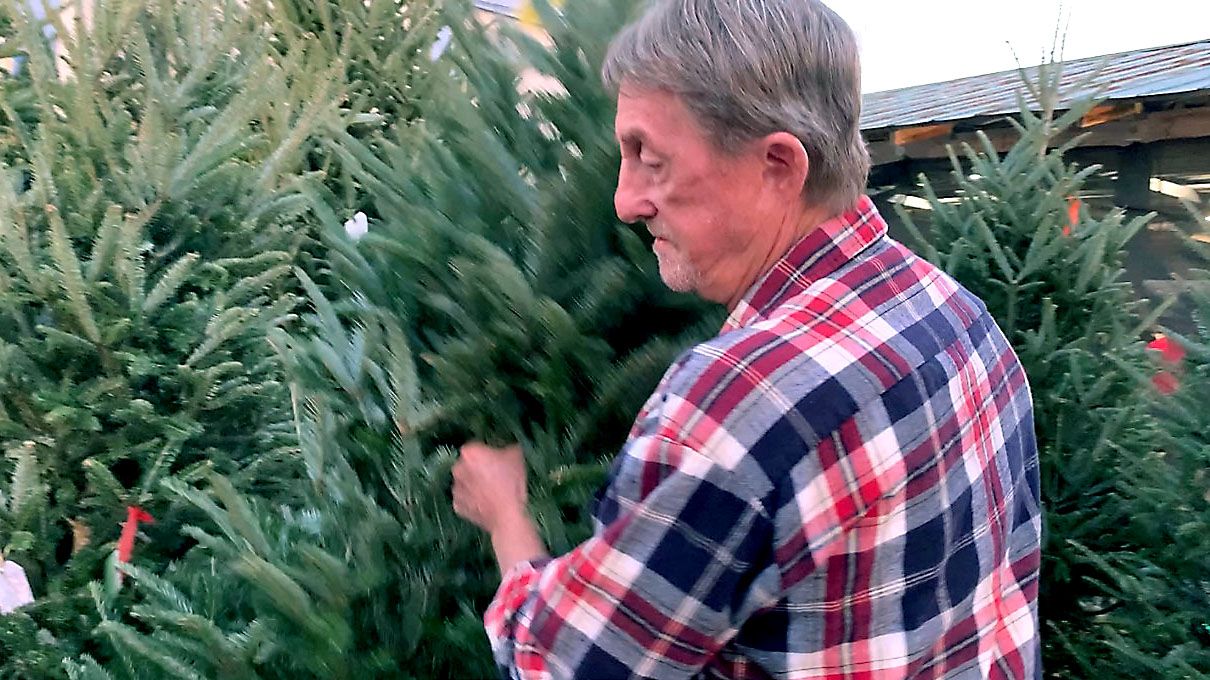 Tree farm volunteer makes mark on local Boy Scouts