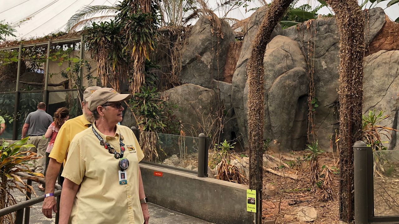 Former Employees Say Goodbye To Zoo Pavilion