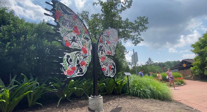 AKRON ZOO JOINS BIPOLAR BUTTERFLY PROJECT