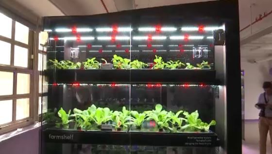 Brooklyn students growing plants for the community