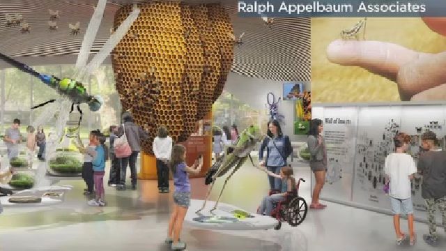 Museum of Natural History Bugging Out Over New Insectarium Plans