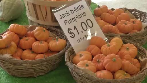 Sure Sign Fall Is Near? Iron Kettle Farm's Spooktacular Kicks Off This ...