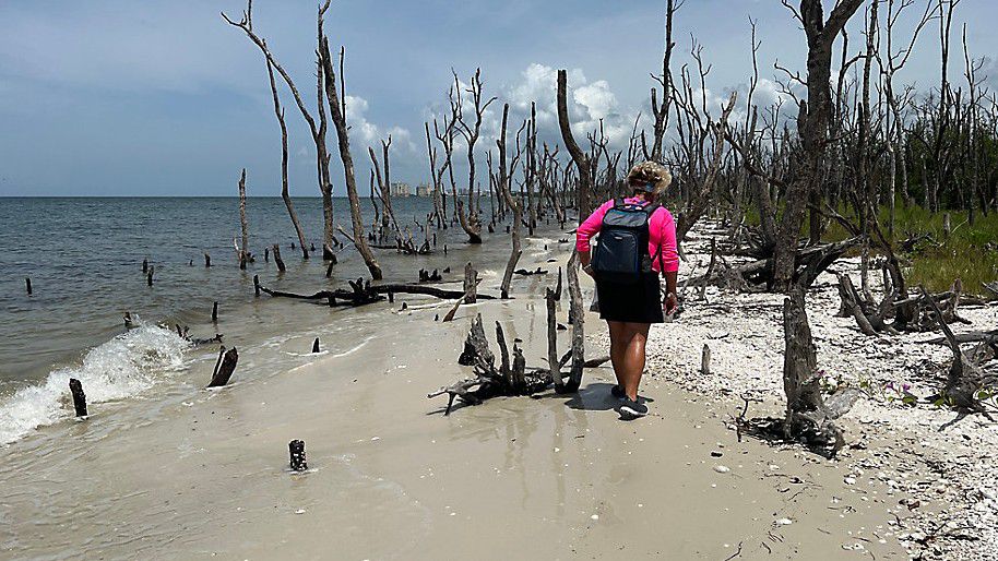 Shell tours give look at treasures near Ten Thousand Islands