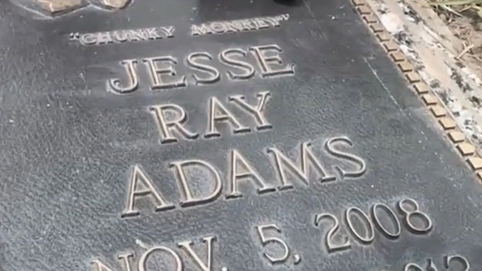 Jesse's Law to help children in domestic violence disputes