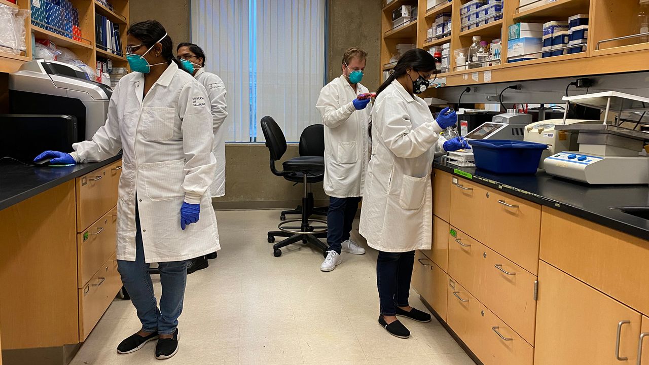 UC Irvine Researchers Working on a Vaccine for All Coronaviruses