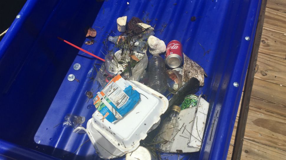 Marine Debris Tracker Helps Track Garbage and Keep Shores Clean